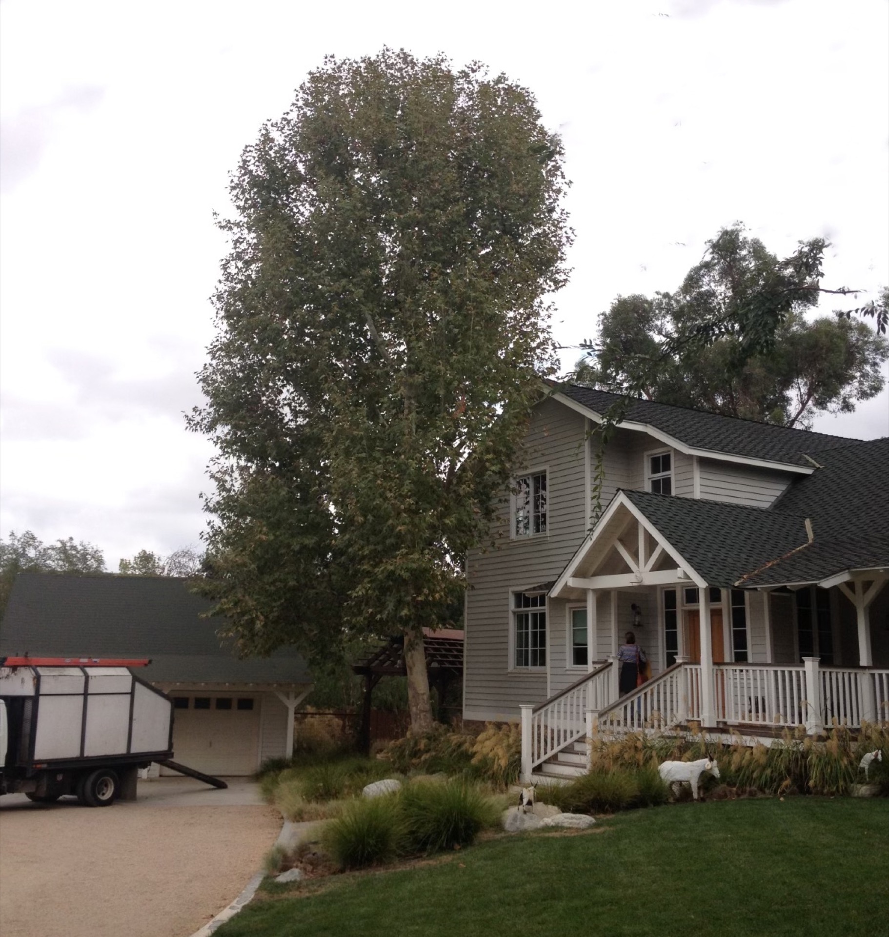 Portfolio - PTS Tree Service