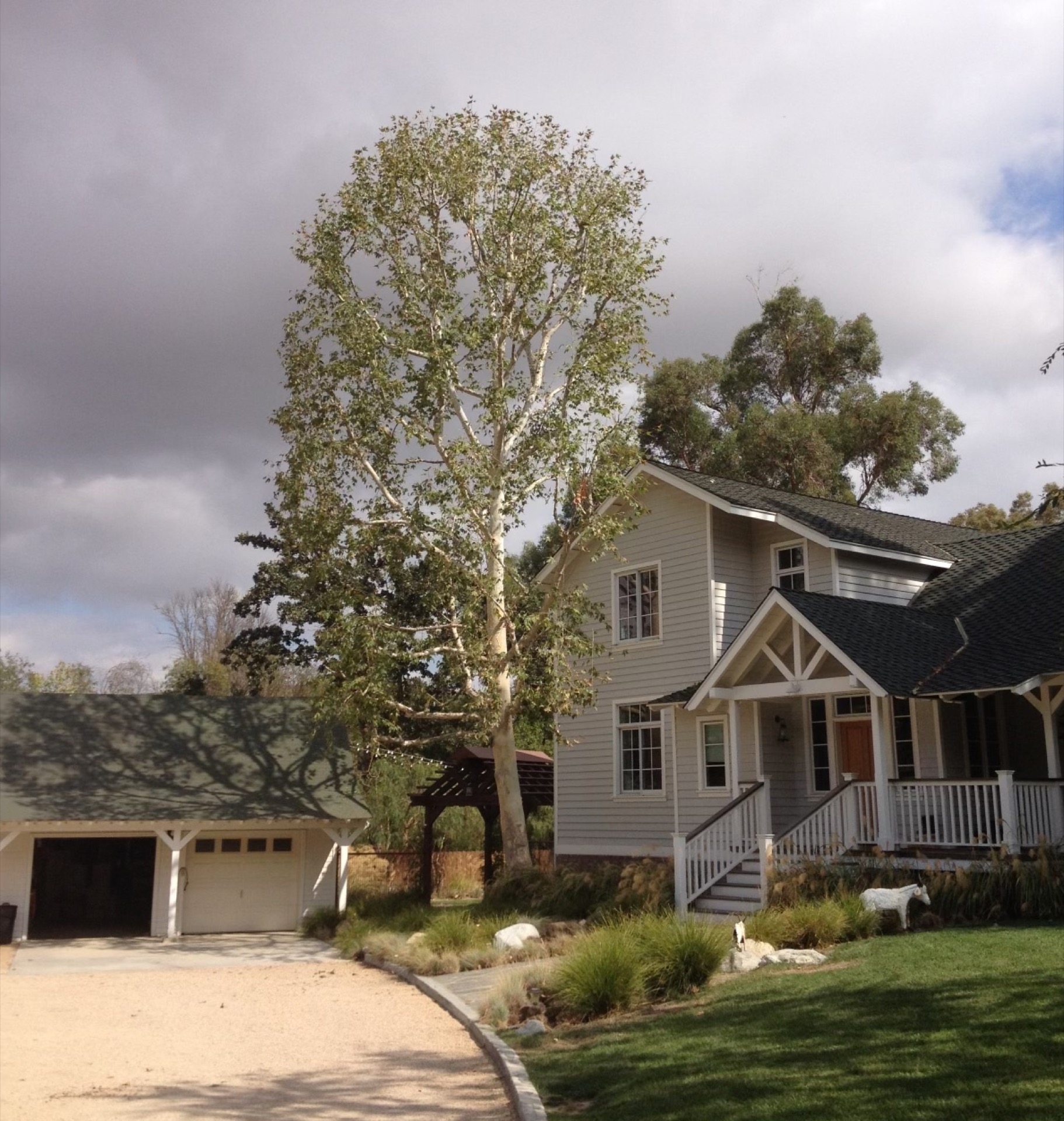 Portfolio - PTS Tree Service